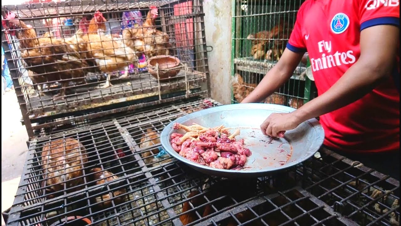 Whole Chicken Cutting And Processing || Fastest Chicken Cutting Skills ...