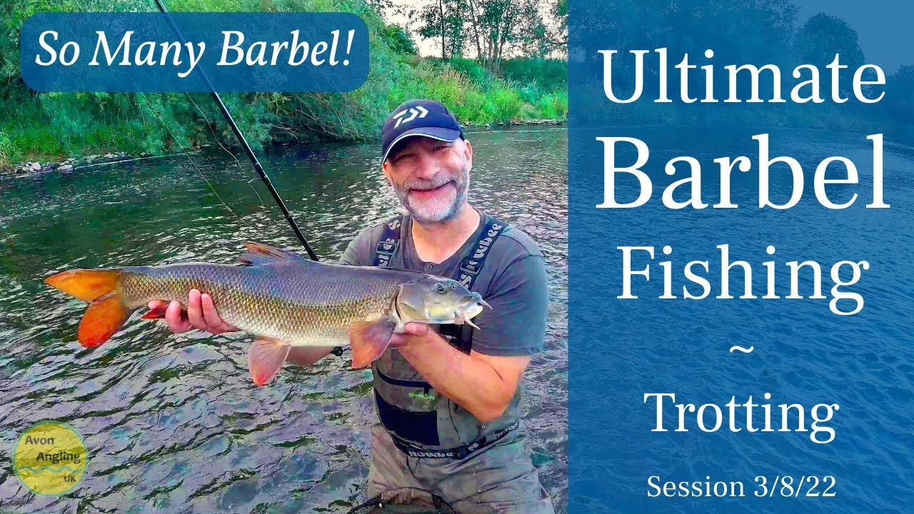 Epic Barbel Fishing - My Best Session Ever - River Wye Barbel On The ...