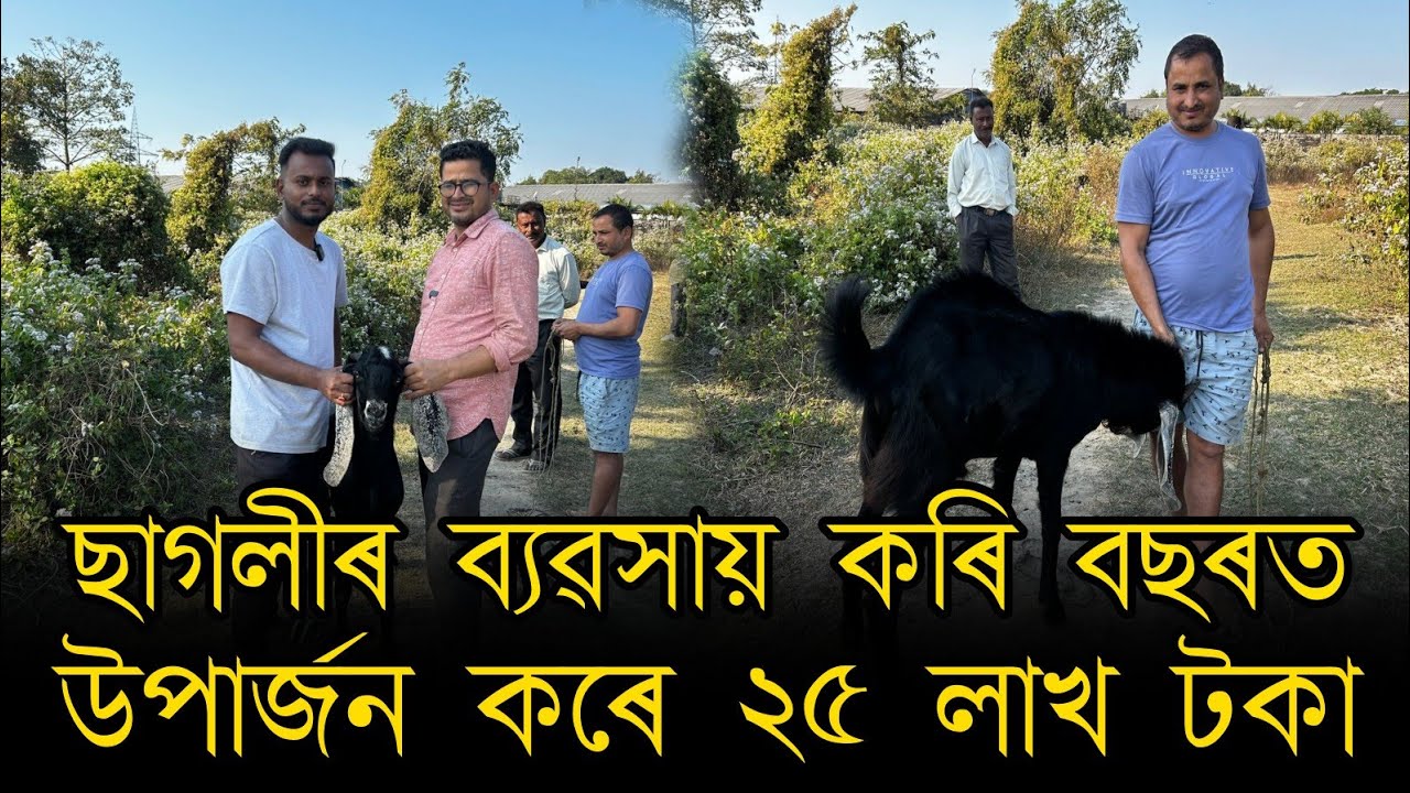 "How to Become Self-Reliant Through Goat Farming? | Secrets to a ...