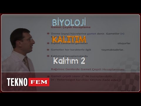 YGS-LYS BİYOLOJİ - Kalıtım 2