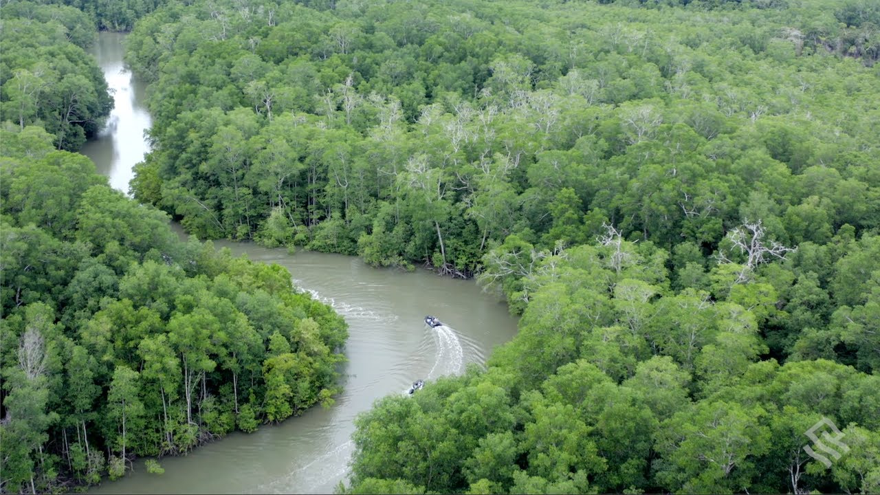 Conrad Combrink on Silversea's first-ever Amazon Expedition - YouTube