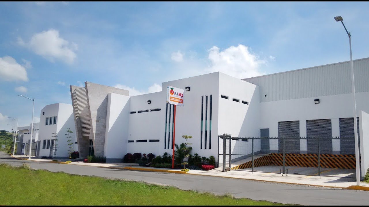 Video Institucional BAMX ZAPOTLANEJO - YouTube