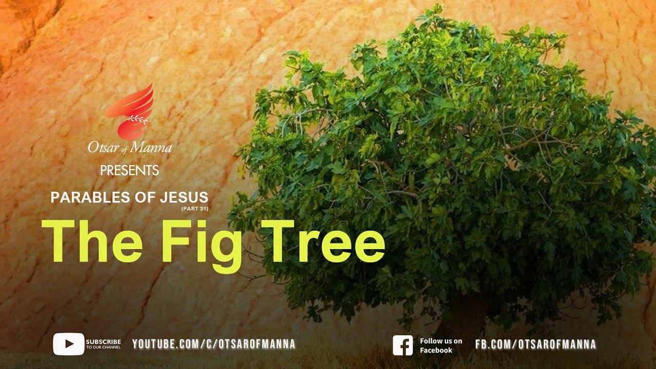 Parables of Jesus ( Part-31) || The Fig tree - YouTube