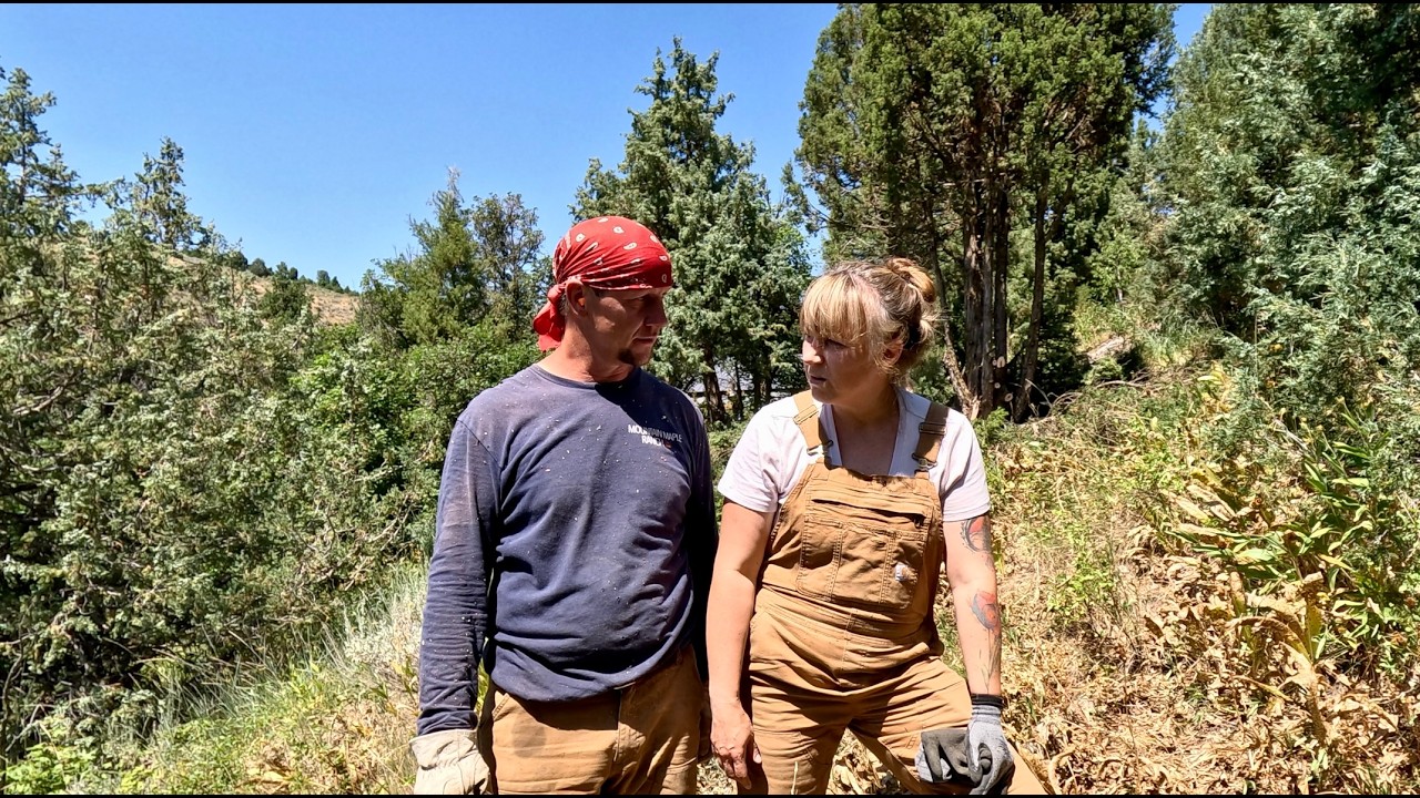 OFFICIALLY DONE with Fencing this year | SO DONE // MOUNTAIN MAPLE ...