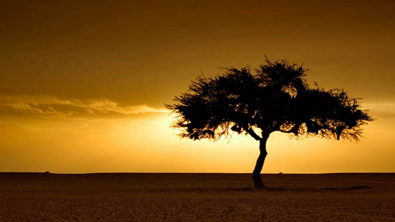 The Mahdi - Historical Claimants of the Mahdi-ship - YouTube