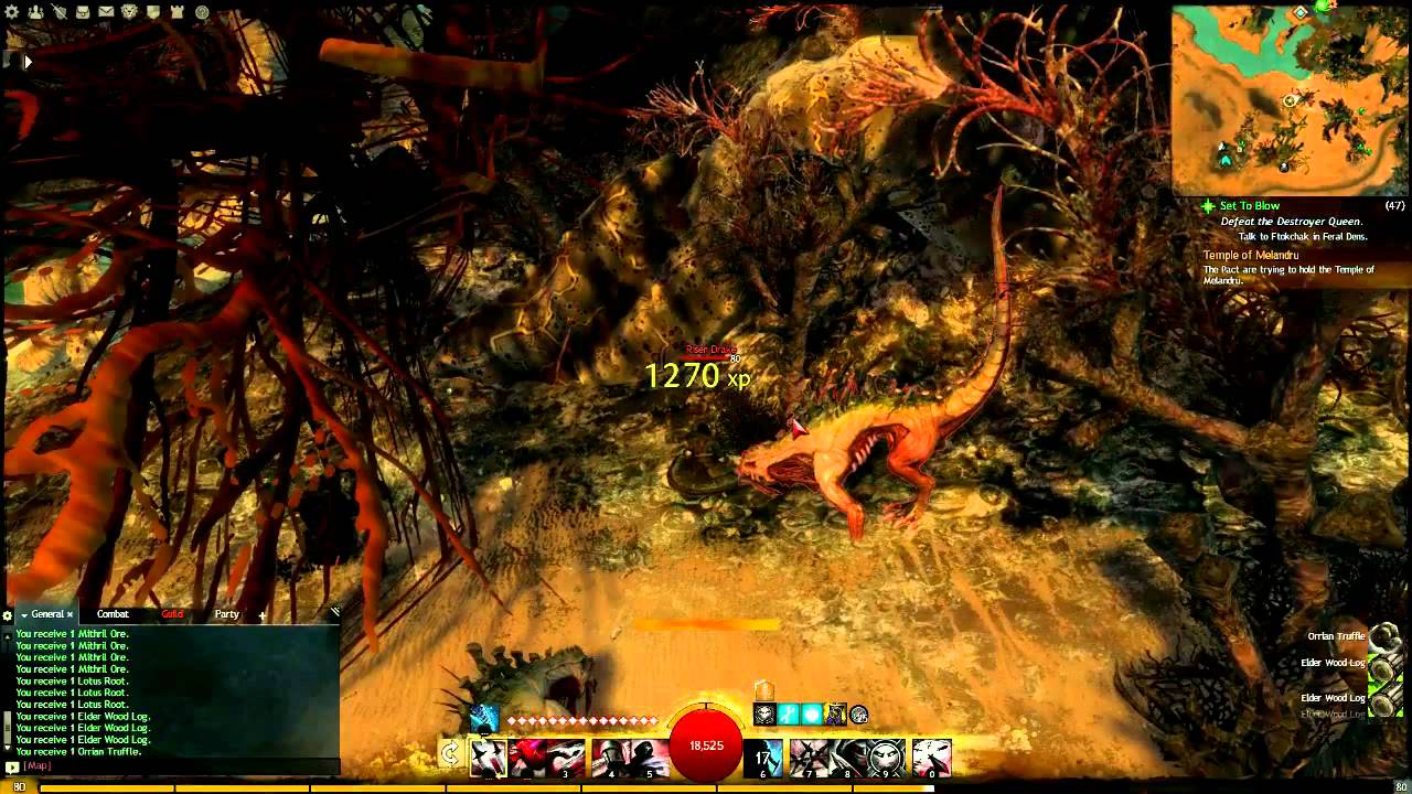 Guild Wars 2 Farming Guides - Cursed Shore Gathering Route - YouTube