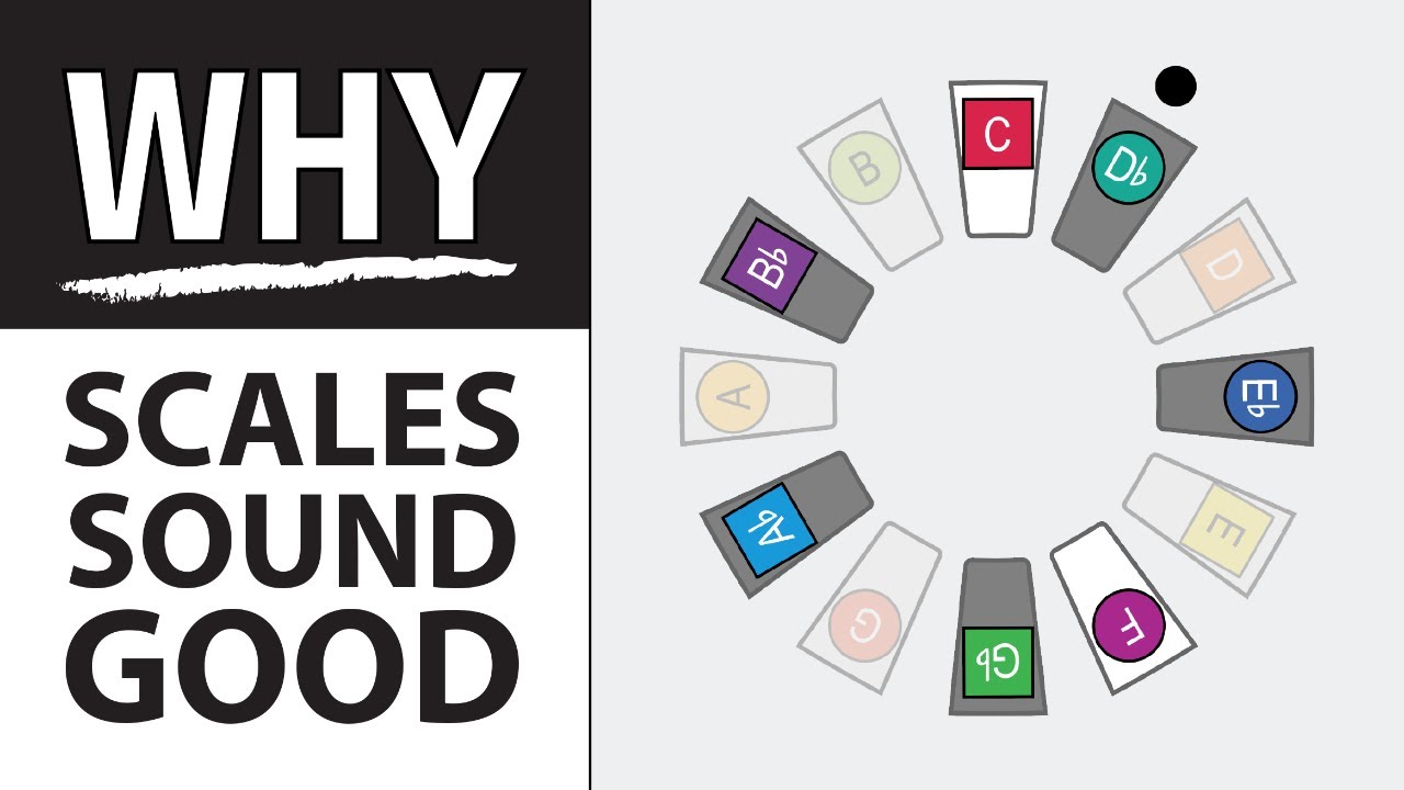 WHY Scales Sound Good (music theory) - YouTube