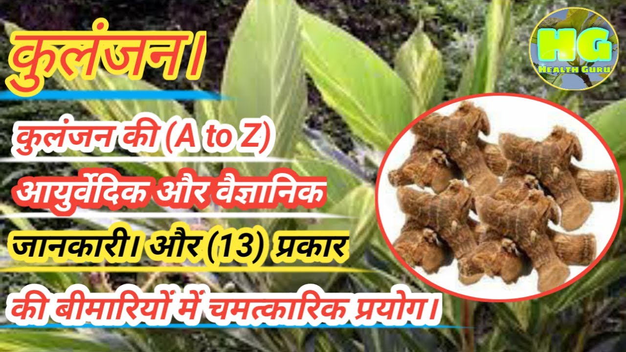 कुलंजन के फायदे. कुलंजन के नुकसान.Kulanjan ke fayde. Kulanjan ke nuksan ...