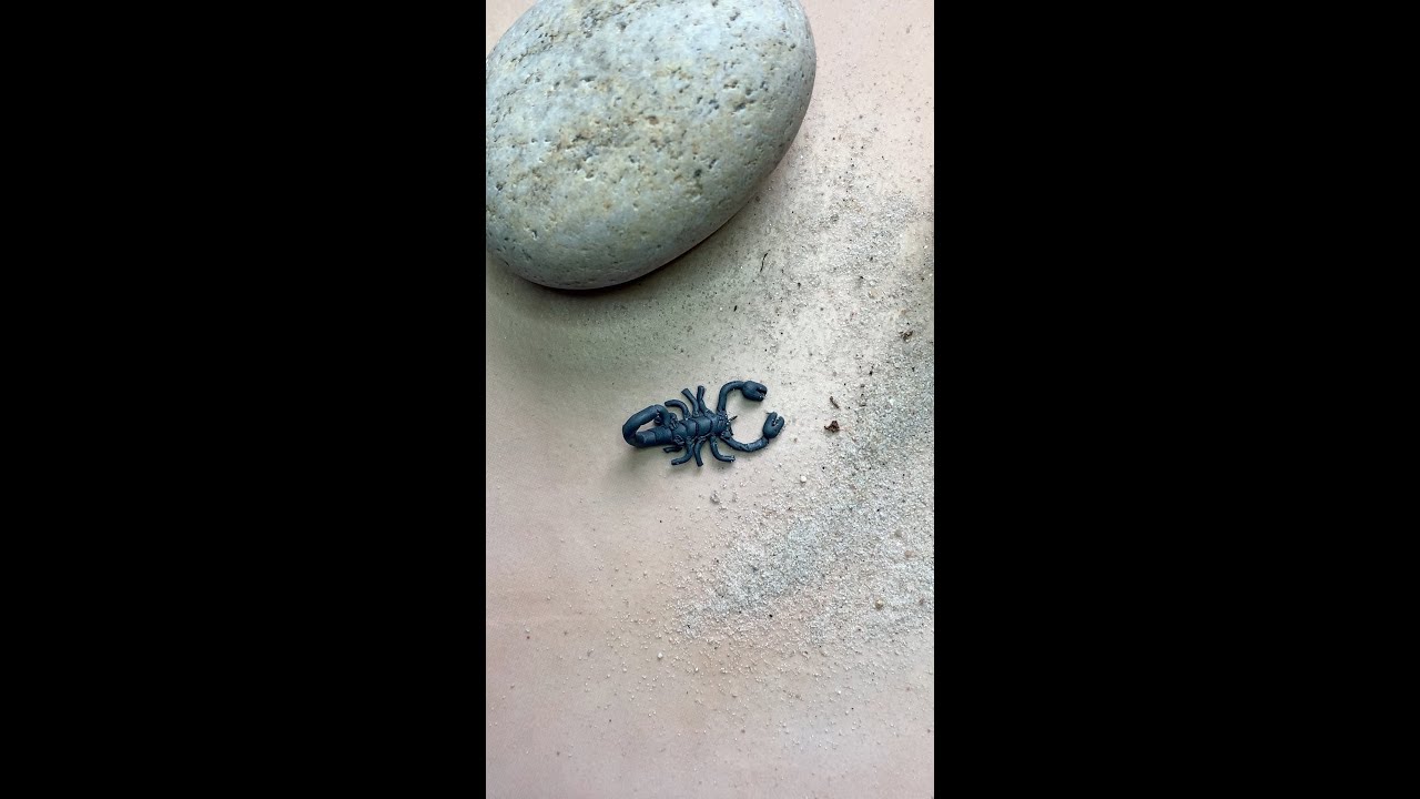 Zodiac Sign scorpion DIY polymerclay tutorial - YouTube