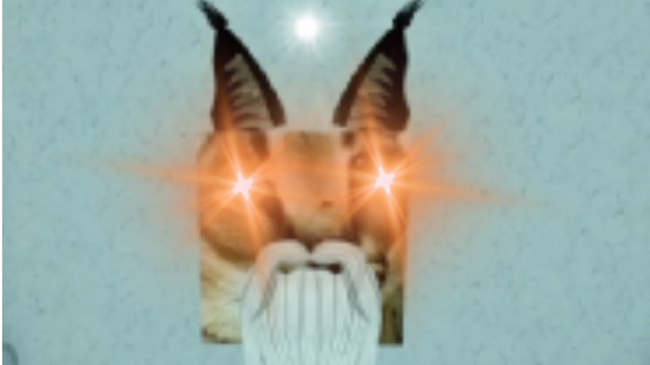 FLOPPA GOD raise a Floppa 2 - YouTube