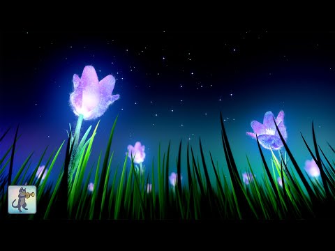 💤🌙 Deep Sleep Music 💤🌙 Meditation Music for Sleep, Study & Stress Relief