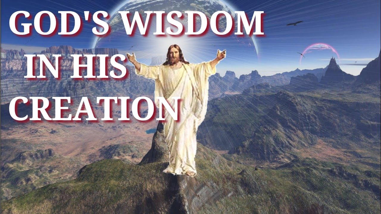 God's wisdom in creation - YouTube