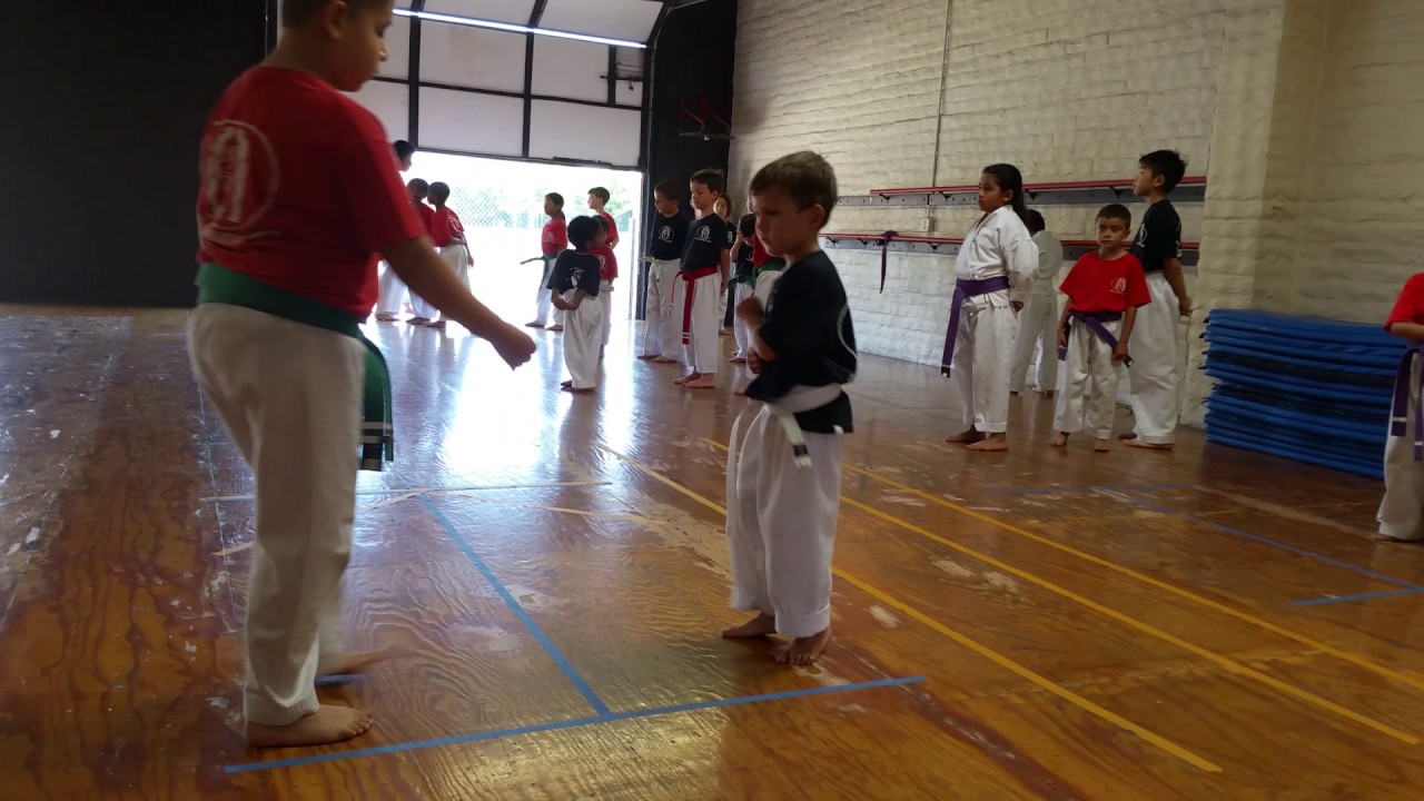 July 2017 - Troy and Teo Testing for Purple Belt 004 - YouTube