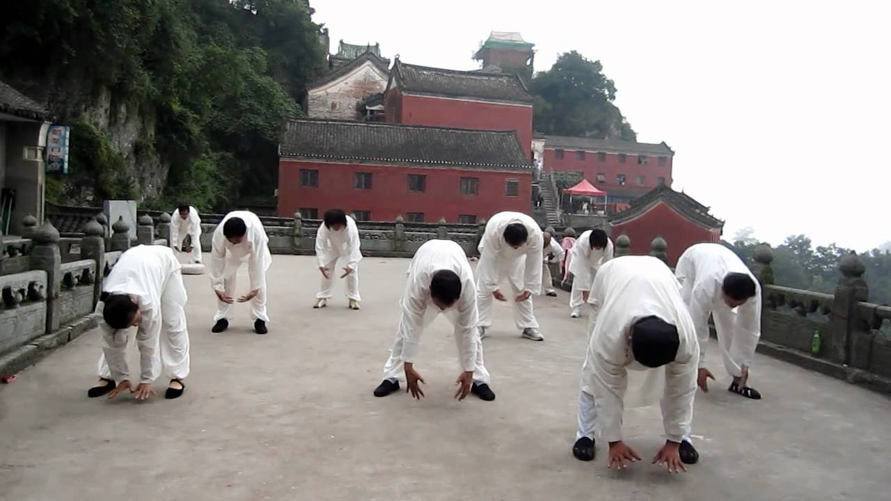 WuDang Five animals Qi Gong 龟 froms by master chenlisheng - YouTube