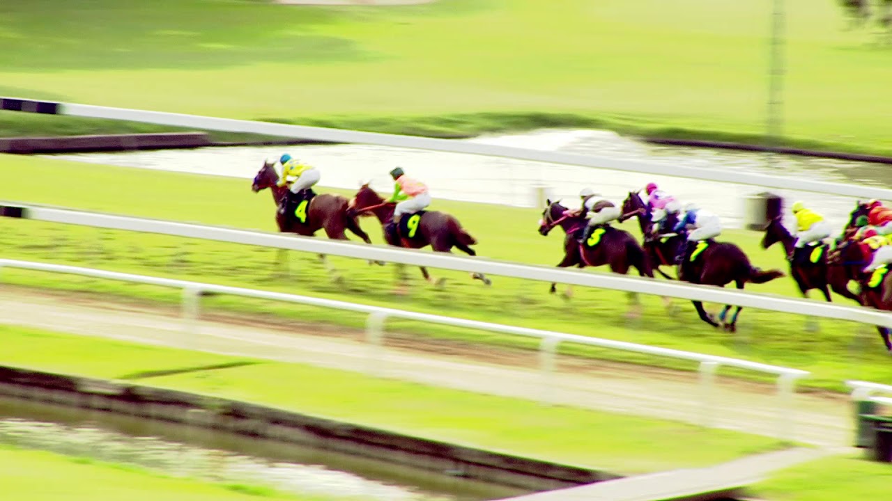 Thailand horse racing 2017 Dec,2 Race 7 Div 3 - YouTube