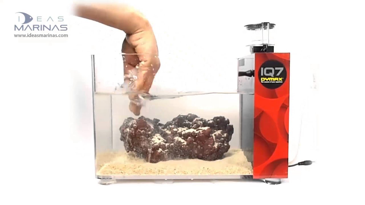 Presentando la Nueva IQ7 - YouTube