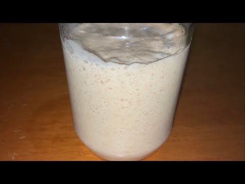 Farë Buke, Për Bukë Të Thartë (Sourdough￼) PA MAJA! Sourdough Bread Starter, NO YEAST!