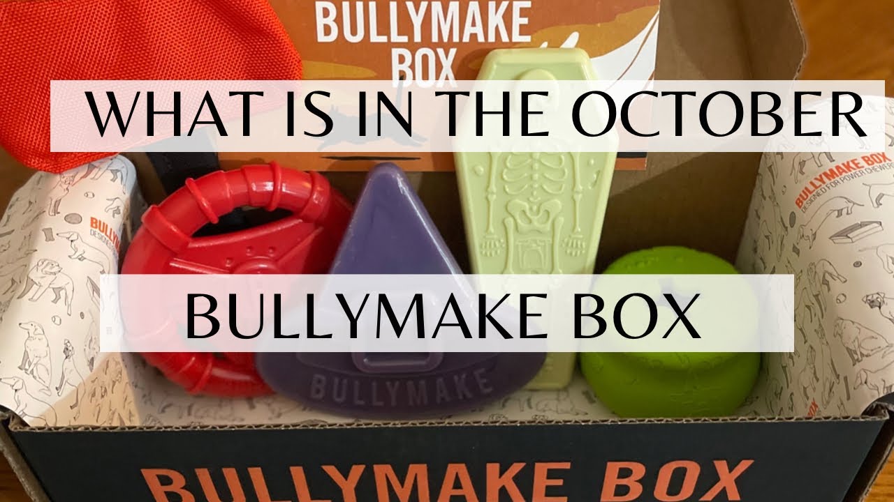 What is in the October Bullymake box - YouTube