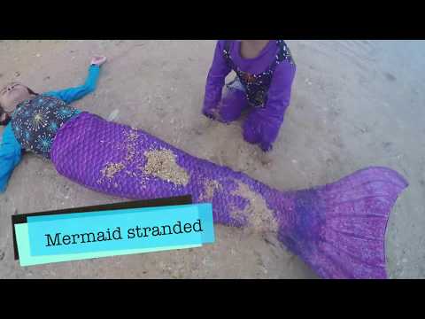 Berani Berenang di Laut | Drama Mermaid Tails | Lifia Niala Swimming Mermaid Kostum Putri Duyung