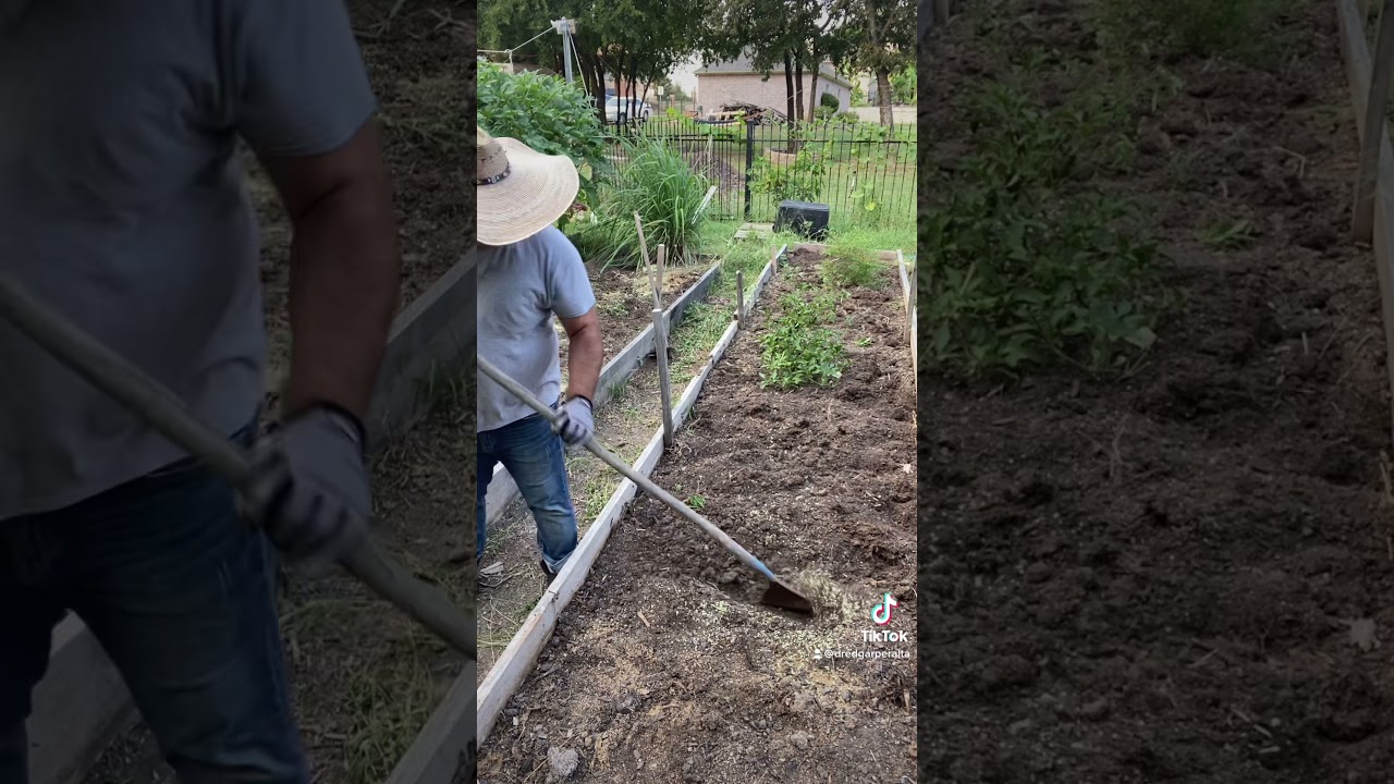 Tarecua, very rare Mexican garden tool. - YouTube