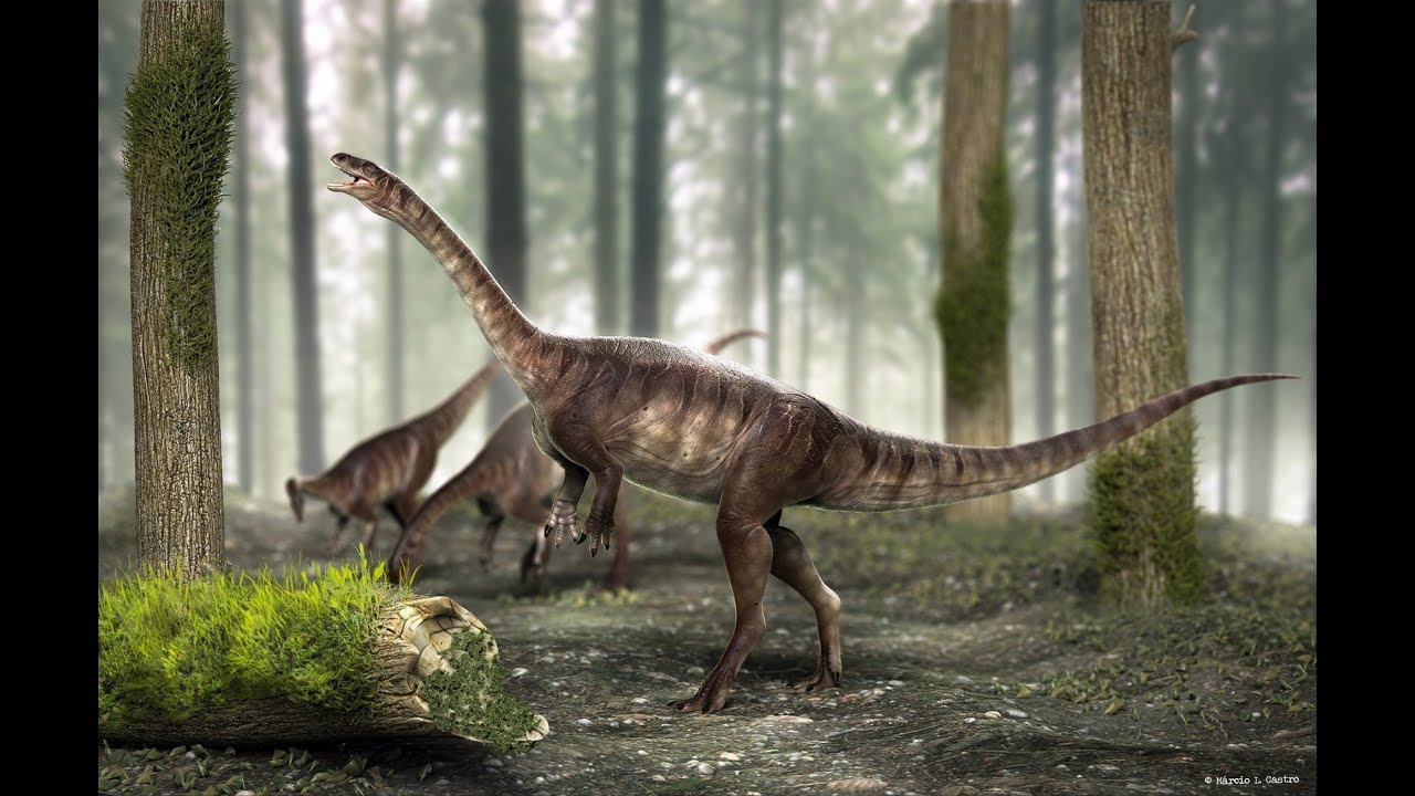 LOS PROSAURÓPODOS: Los primeros gigantes - YouTube