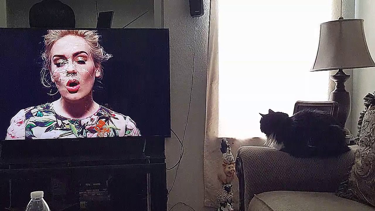 Cupcake and Adele - YouTube