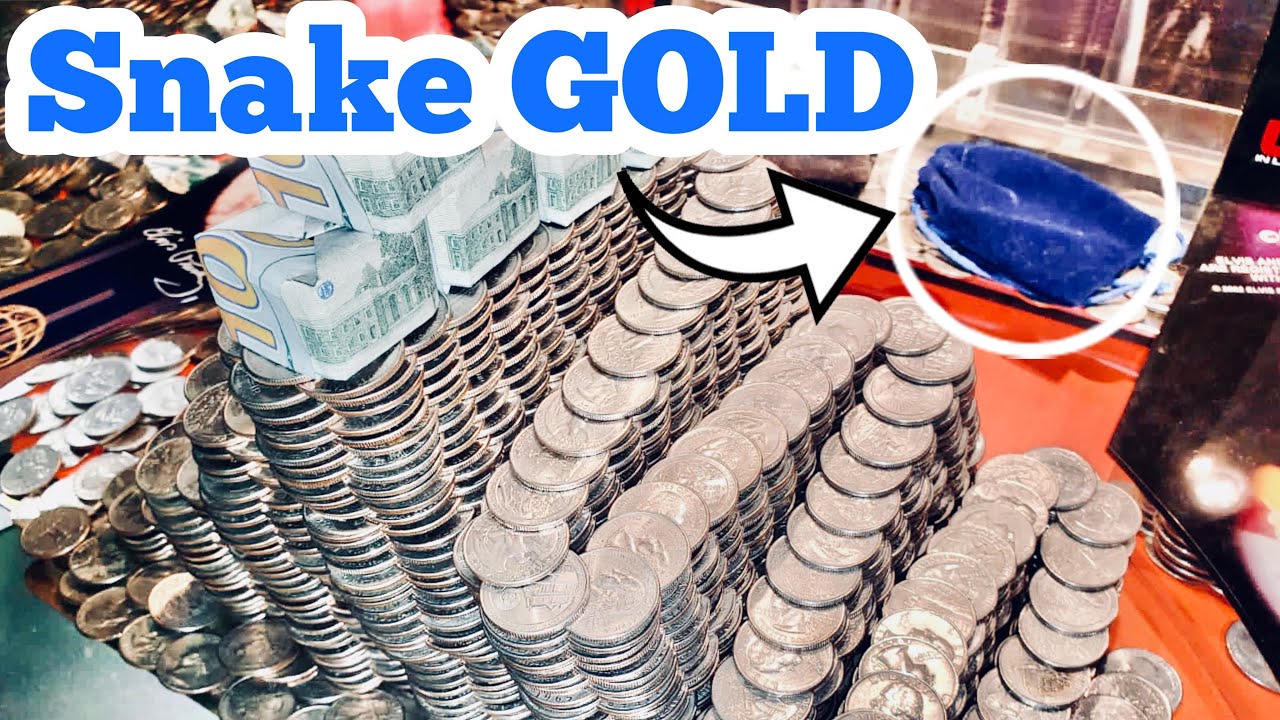 SNAKE GUARDING GOLD Inside The High Limit Coin Pusher Jackpot WON MONEY ...