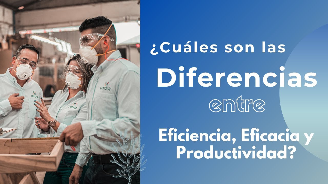 ¿cuáles Son Las Diferencias Entre Eficiencia Eficacia Y Productividad