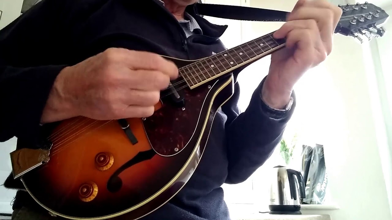 Mandolin - Bird In The Tree Jig - YouTube