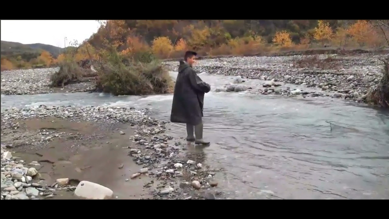 peshkim 🐟🐟dhjetor 2021 - YouTube