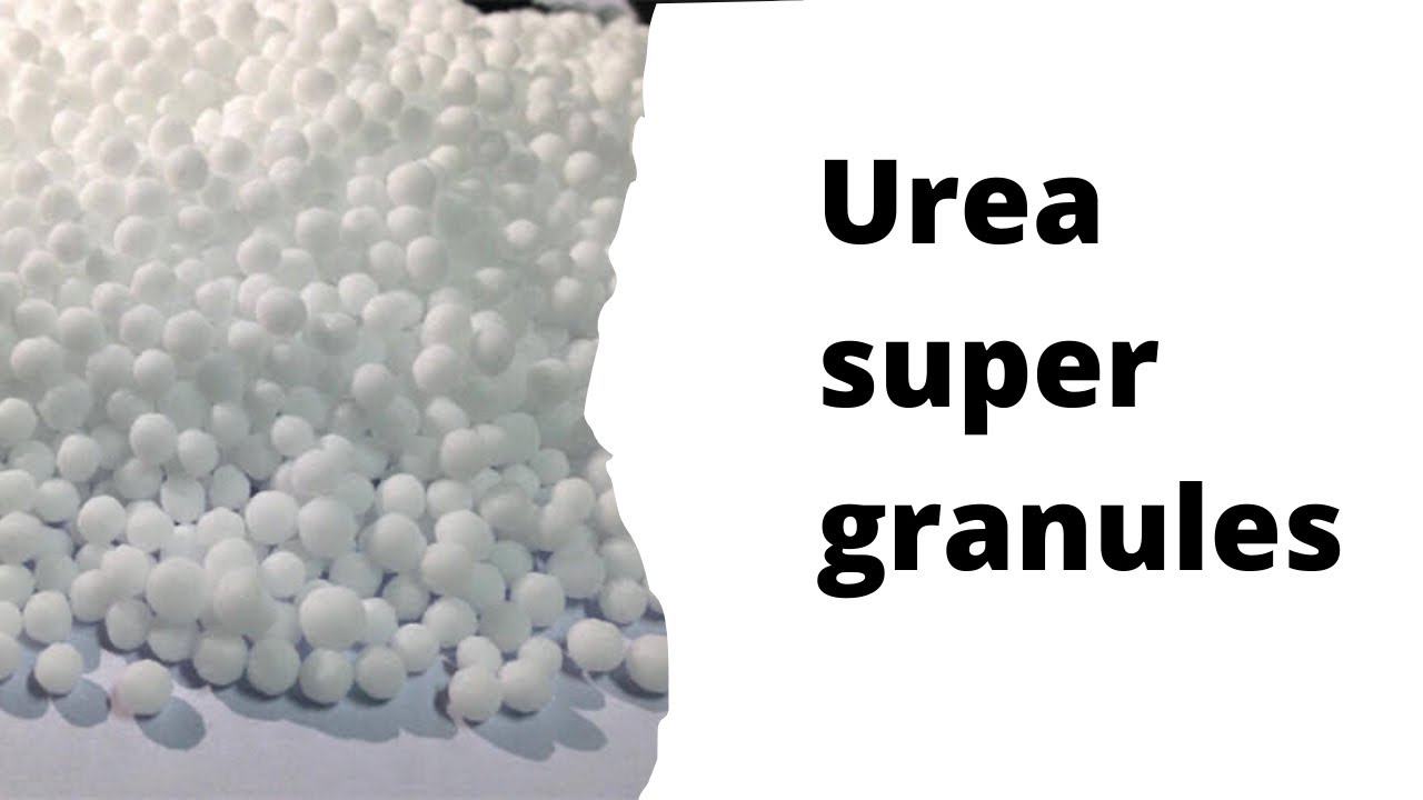 Urea super granules| Agriculture Unravelled - YouTube