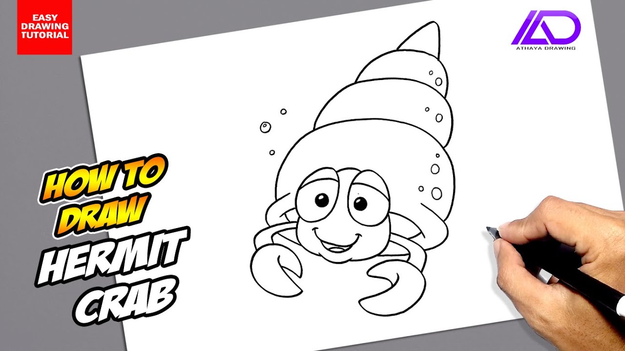 How to draw Hermit Crab - YouTube