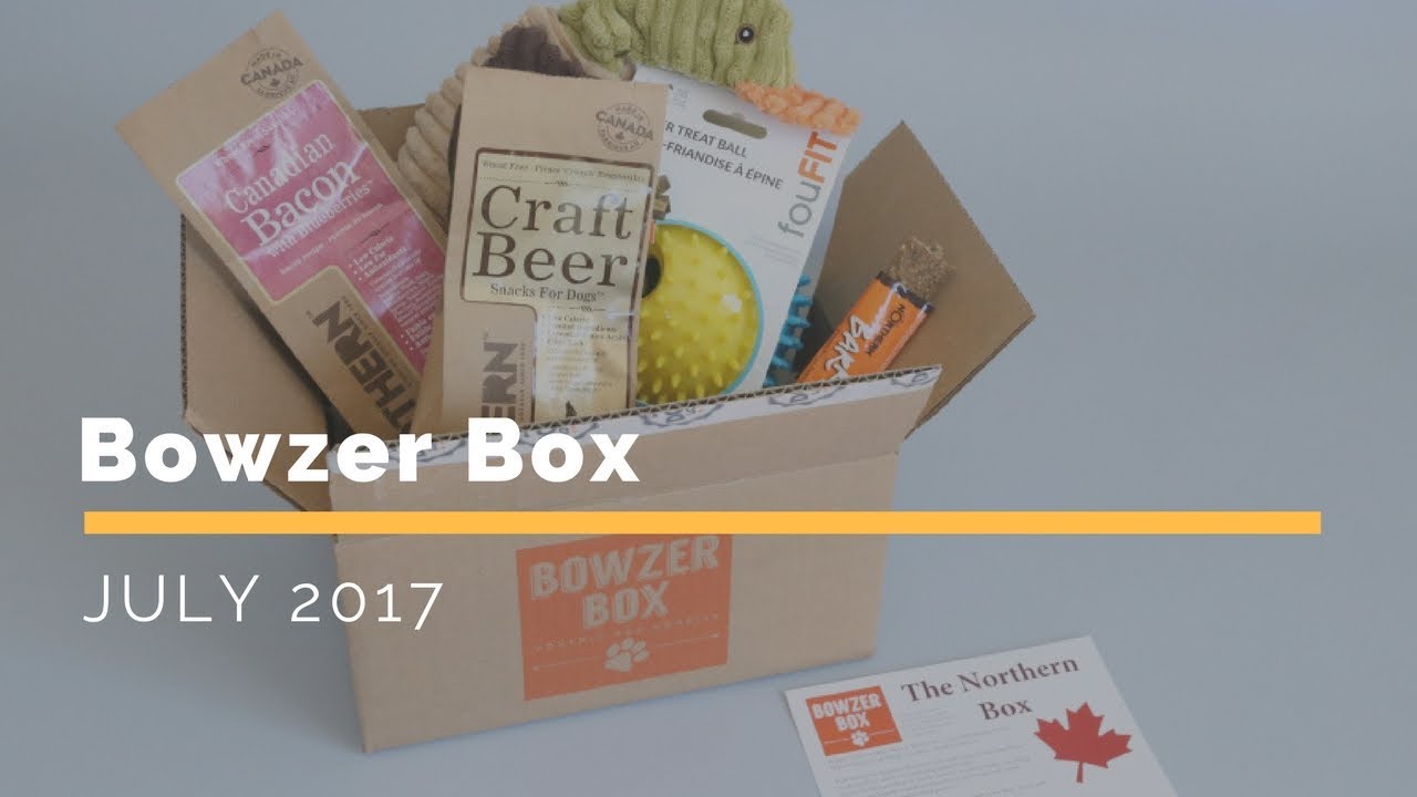 Bowzer Box Subscription Box Unboxing July 2017 - YouTube