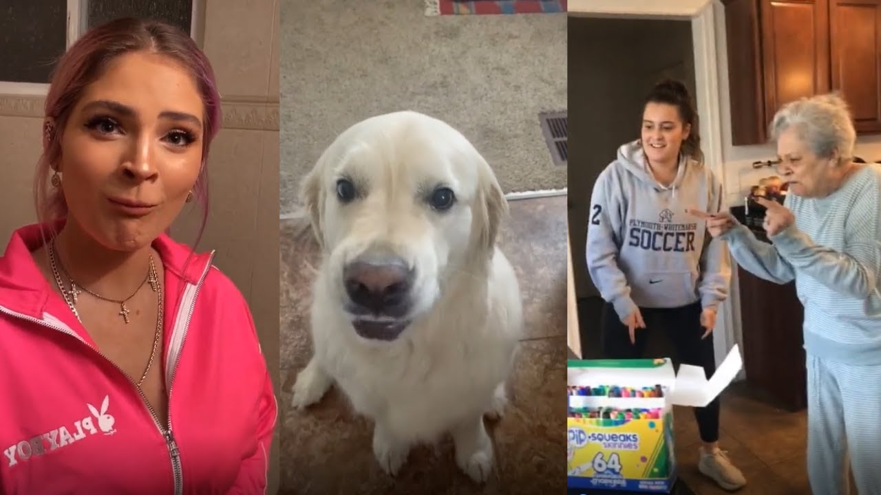 TikTok FYP Compilation 2020 Funny Moments [Watch It Now] - YouTube