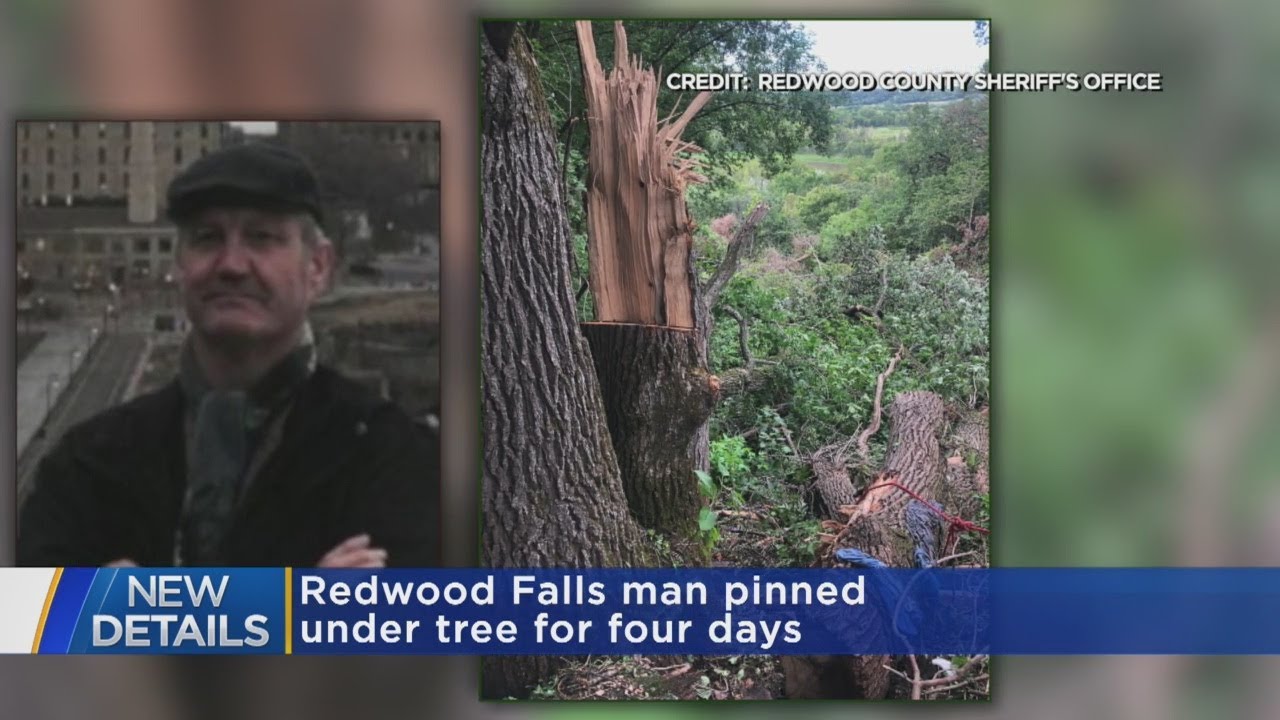 Redwood Man Pinned Under Tree For 4 Days - YouTube