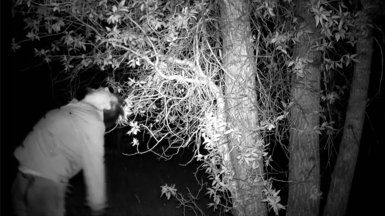 "This Is a Skinwalker" (Mystery at Blind Frog Ranch) - YouTube