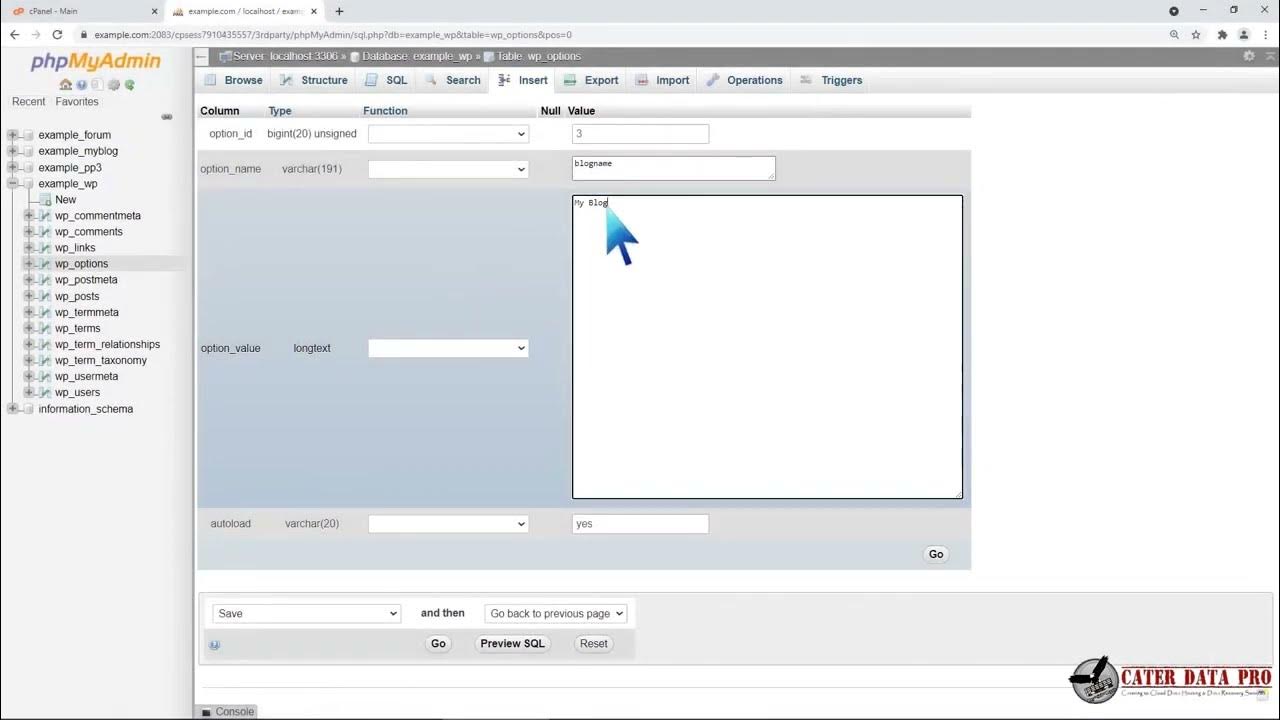 How To Edit A Database Table Via Phpmyadmin In Cpanel With Cater Data Pro Youtube