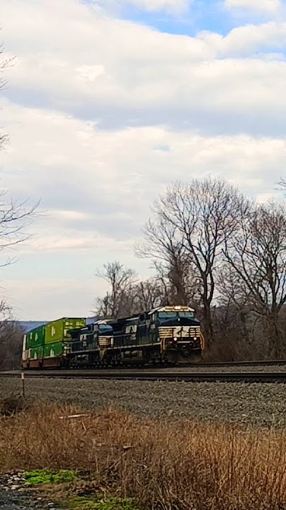 3/29 NS eastbound doublestack container train 260 at Cove PA #shortvideo #shorts #short # ...