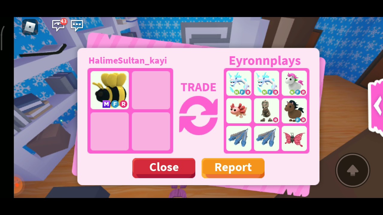 DID I ACCEPTED A BIG LOSE FOR MY MEGA KING BEE!? W/F/L ( Dream pet gone ...