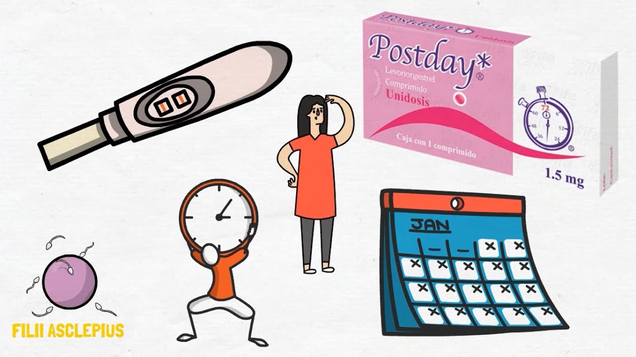 POSTDAY | PARA QUÉ SIRVE? - YouTube