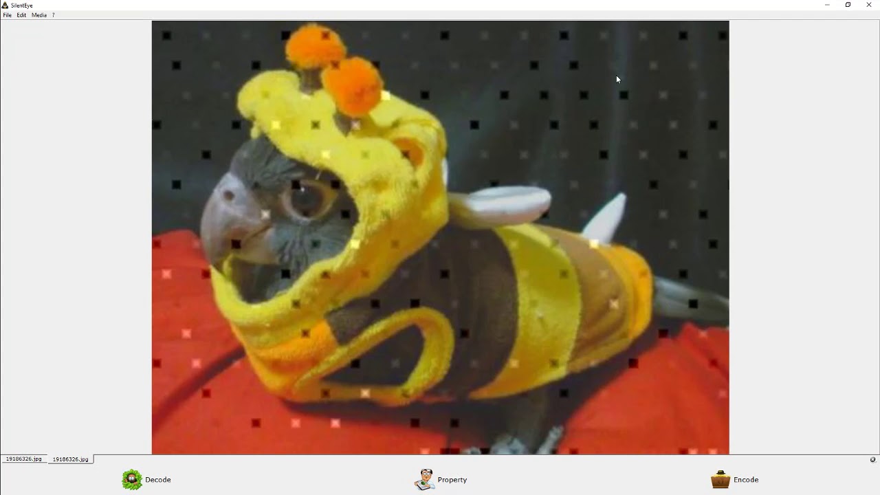 SilentEye and Steganography - YouTube