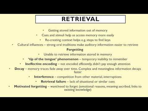 PYC1501 Learning and Memory - YouTube