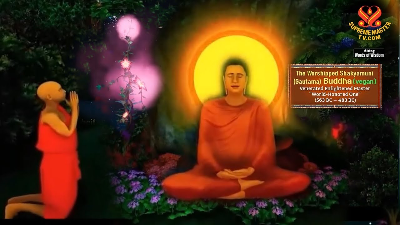 1부-원각경: 미망과 욕망 [P1/2] Selections from The Sutra of Complete ...