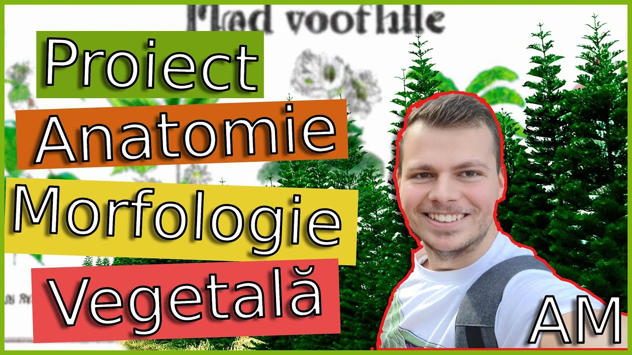 Anatomia și Morfologia Plantei | Proiect Morfologie și Anatomie ...