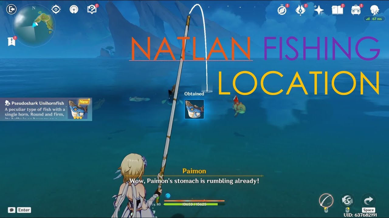 Natlan Fishing Spot and Fishing Association Genshin Impact - YouTube