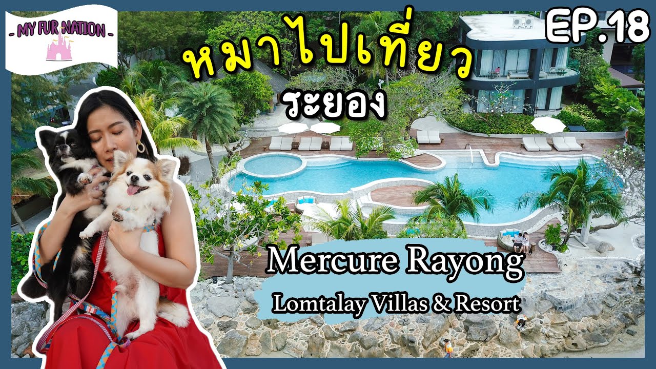 EP.18 - หมาไปเที่ยว | รีวิวโรงแรม Mercure Rayong Lomtalay Villas & Resort + คาเฟ่หมาเข้าได้ ...