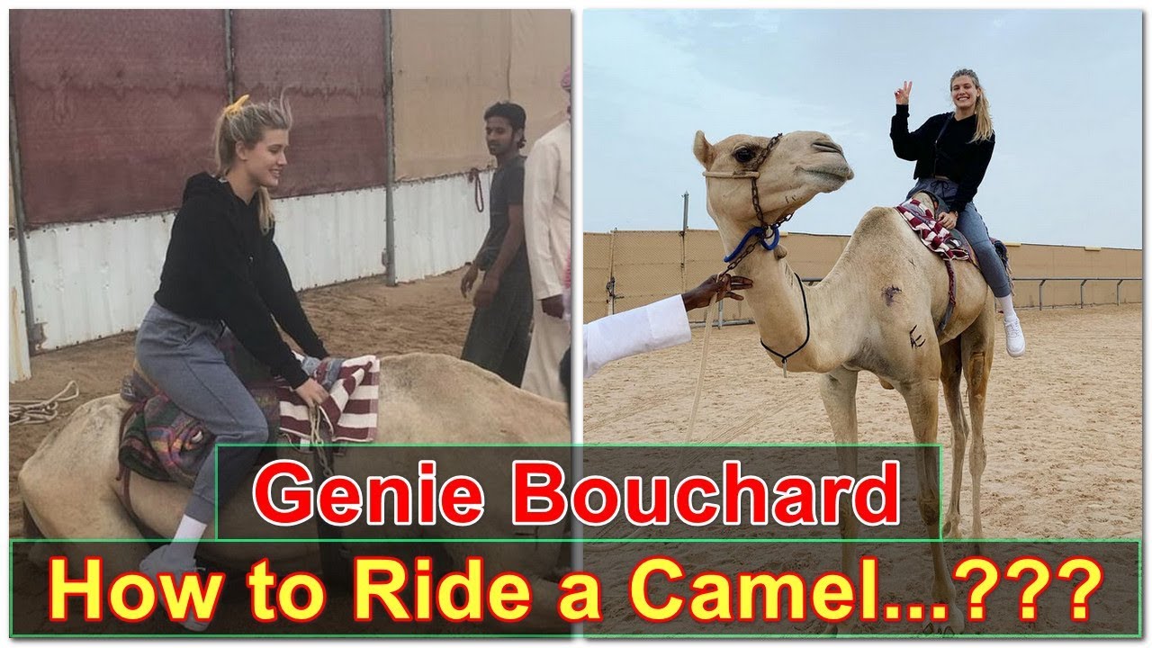 Genie Bouchard is Riding a Camel in Doha, Qatar || Canadian Women ...
