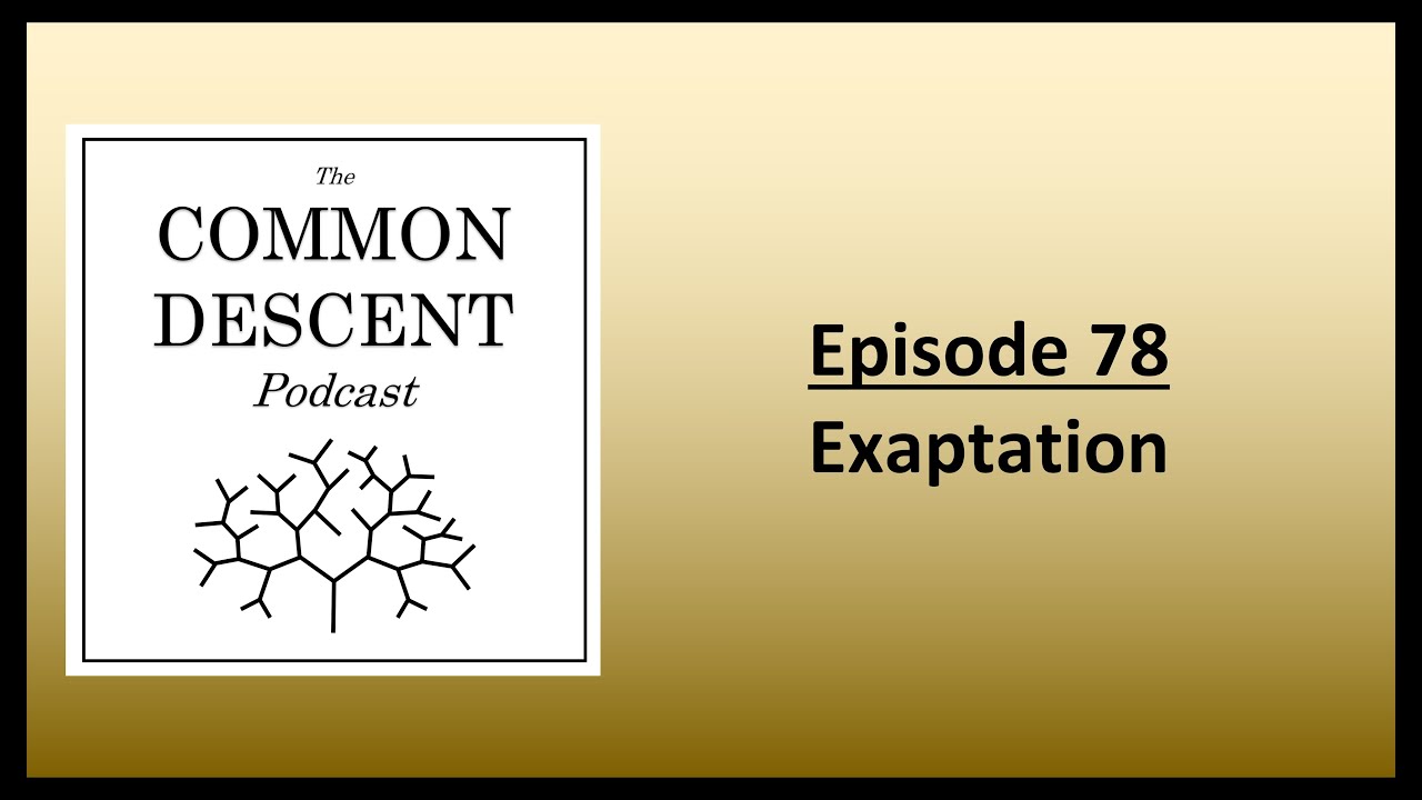 Episode 78 - Exaptation - YouTube