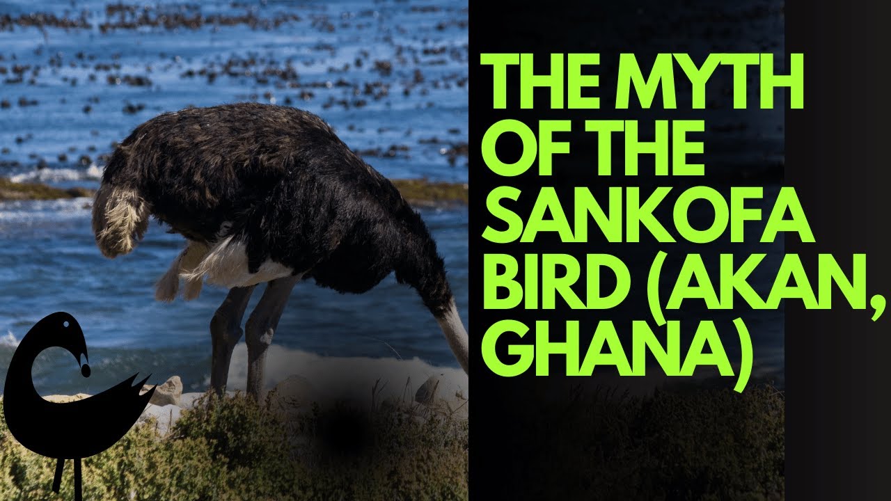 The Myth of the Sankofa Bird (Akan, Ghana) - YouTube