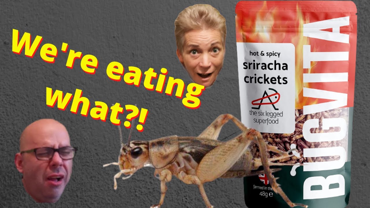 EATING CRICKETS | BUGVITA | HOT AND SPICY SRIRACHA CRICKETS - YouTube